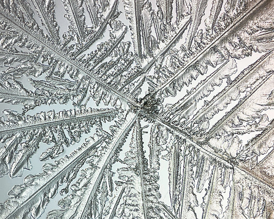 uHandy Mobile Microscope