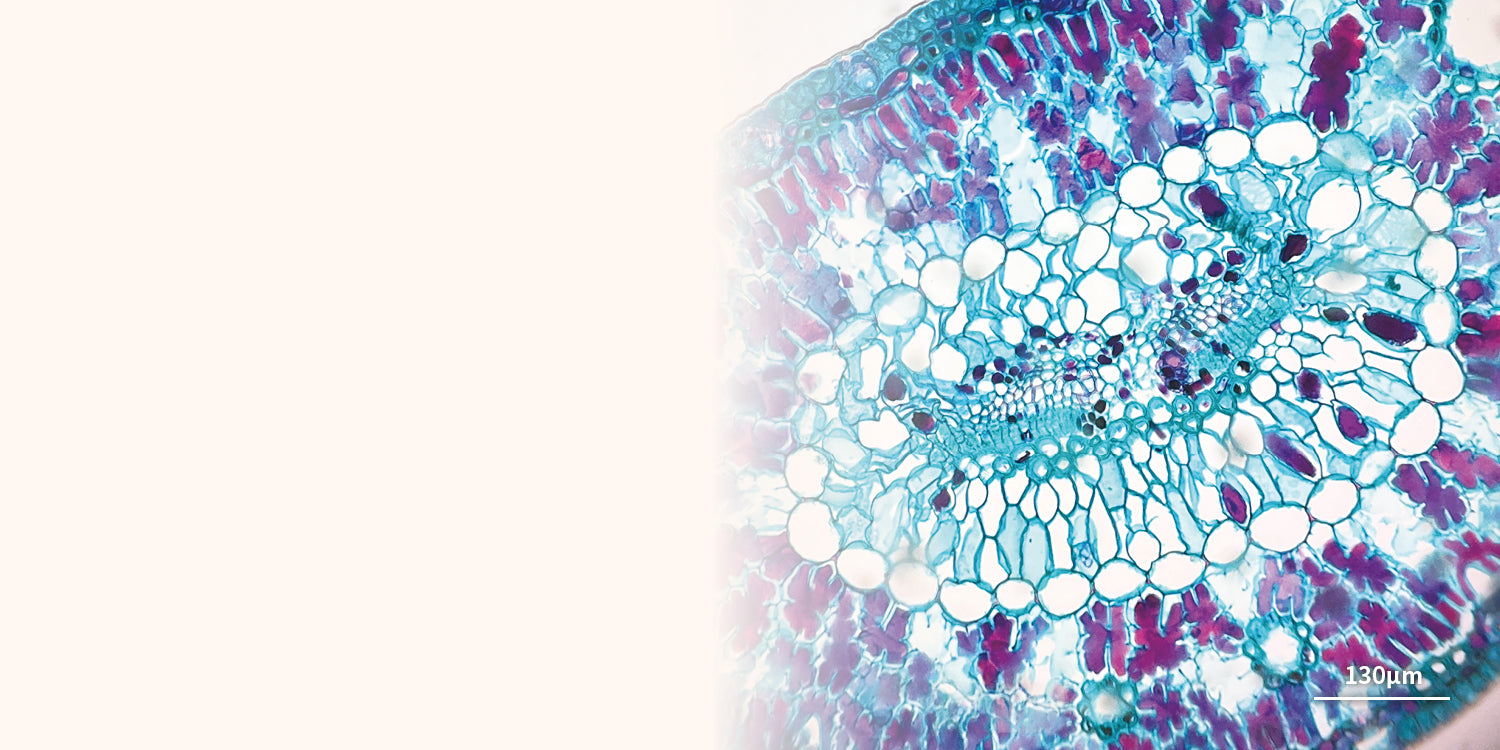 uHandy Mobile Microscope
